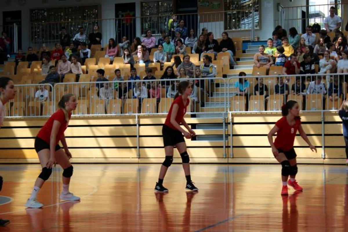 Zmagovalke državnega polfinala v odbojki | Osnovna šola in vrtec Ankaran